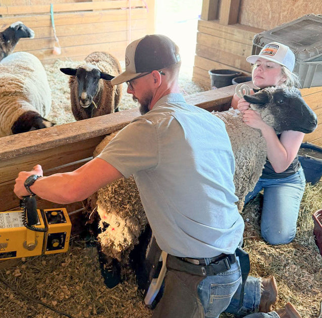 Chamomile’s Comeback – FHF Animal Sanctuary
